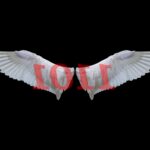 Descubre el SECRETO detrás del número de ángel 1107