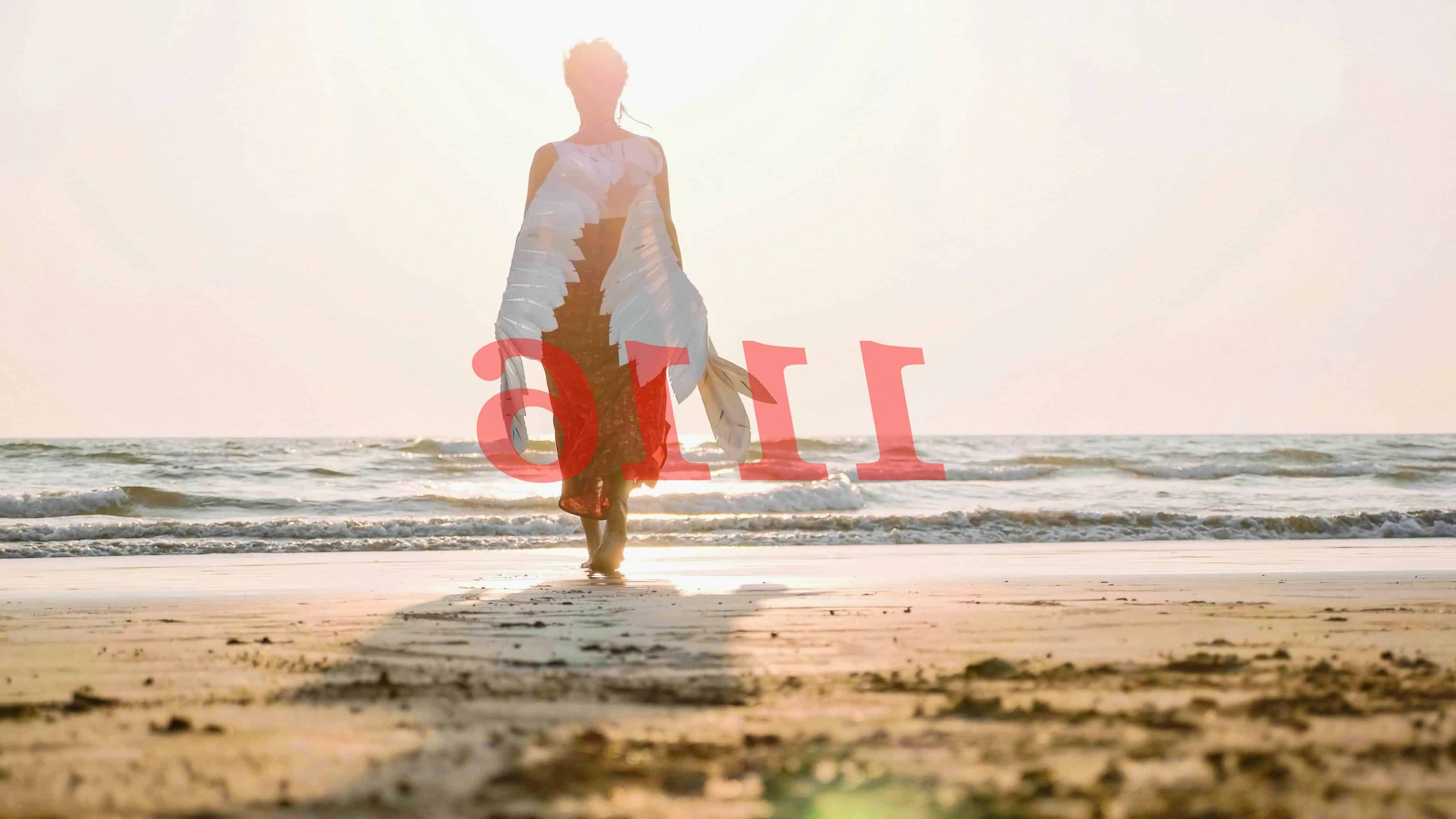 Descifra el SIGNIFICADO de 1116 - ¡Revelación ANGELICAL!