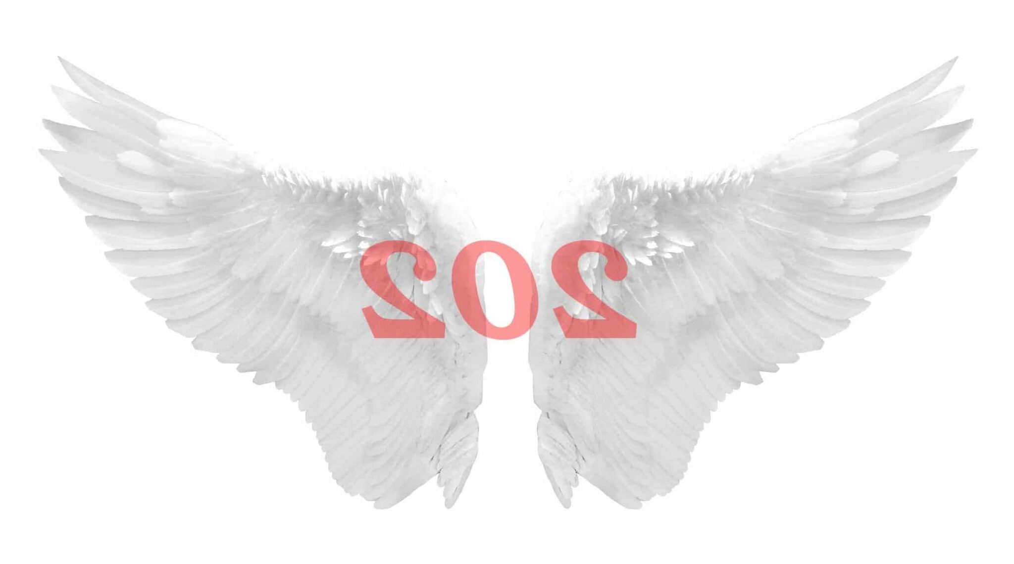 Descubre el SIGNIFICADO del número de ángel 202 - REVELADO