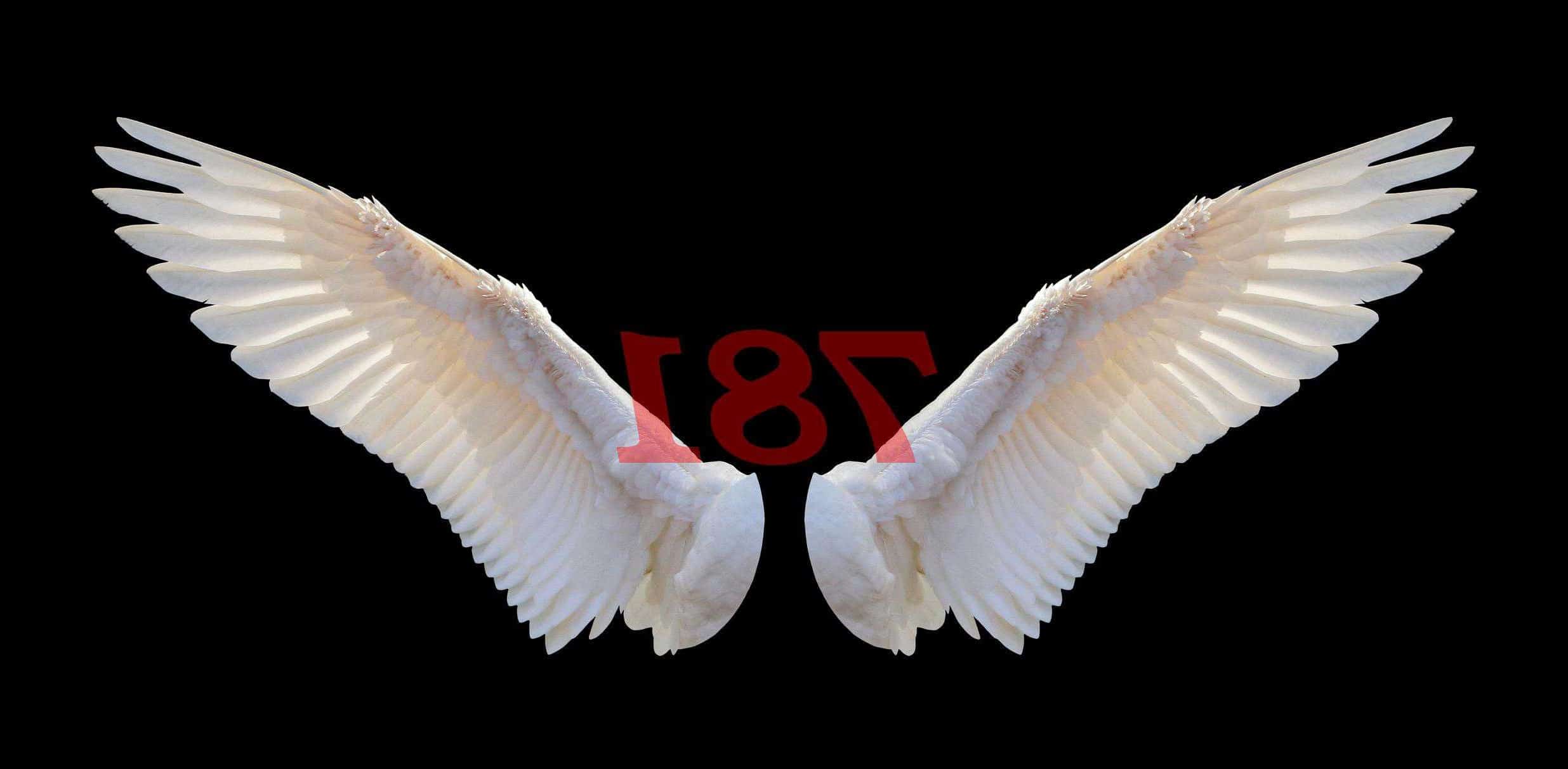 Descubre el SIGNIFICADO del número de ángel 781 en DETALLE