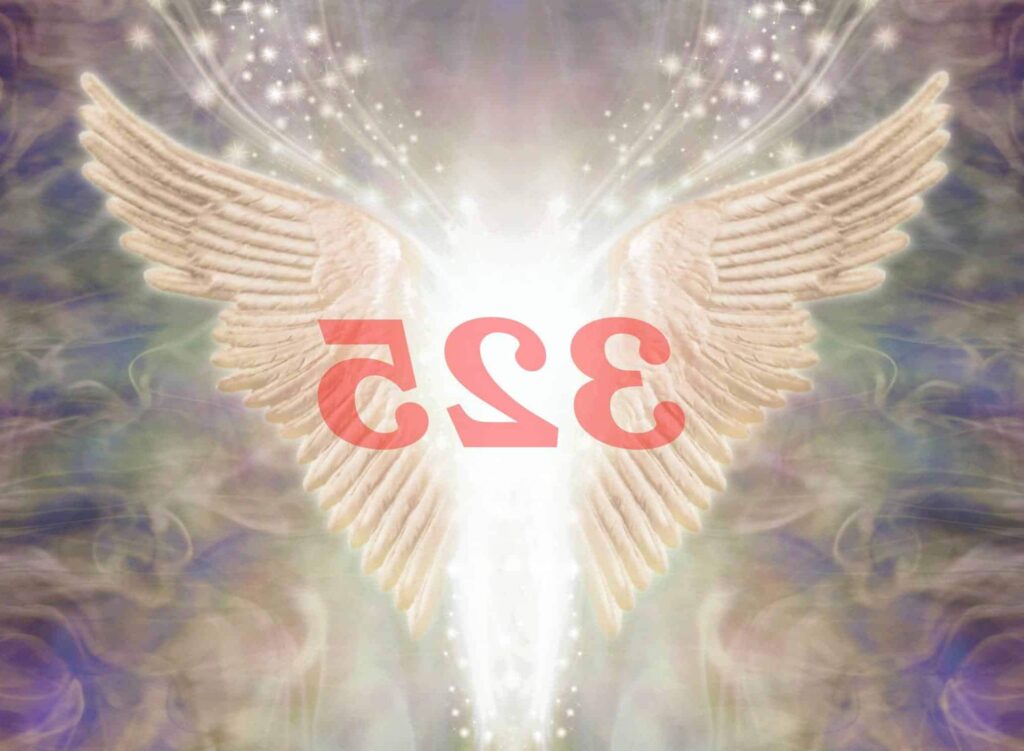 Descubre el MISTERIO del número de ángel 325 - ¡Impactante Revelación!