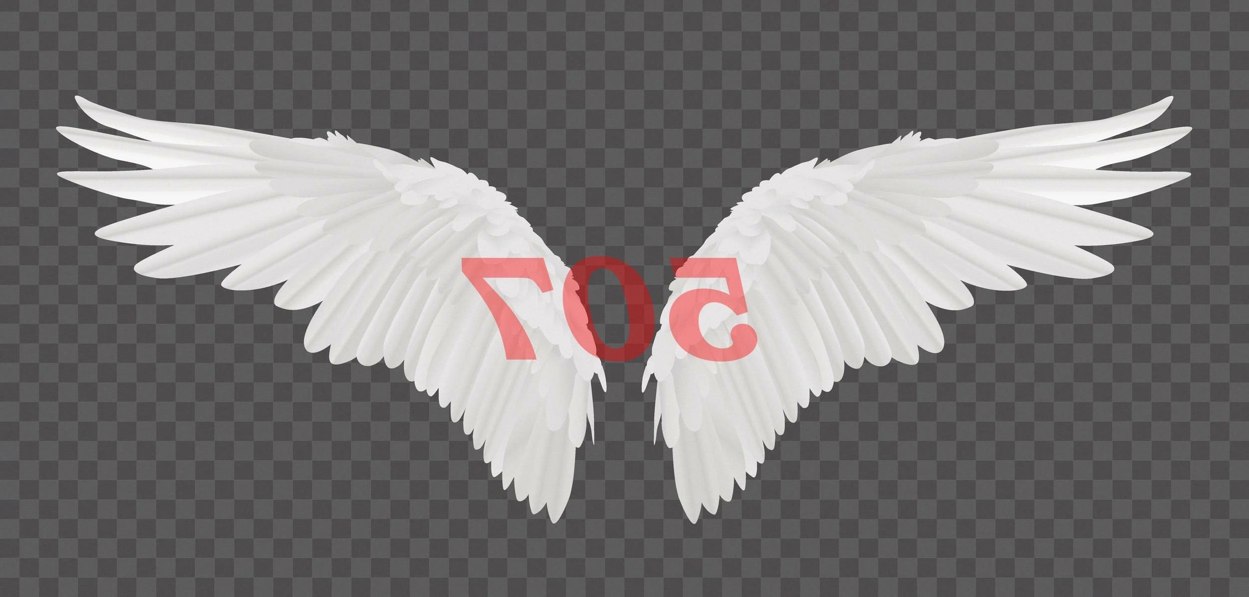 ¿POR QUÉ SIGO VIENDO el NÚMERO de ÁNGEL 507? DESCÚBRELO.