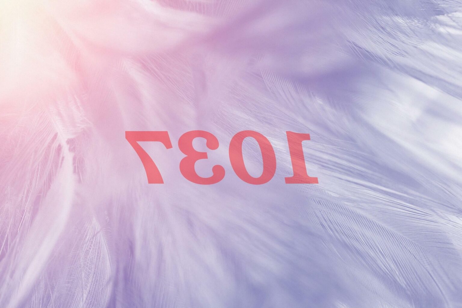 Descubre el SIGNIFICADO del número de ángel 1037