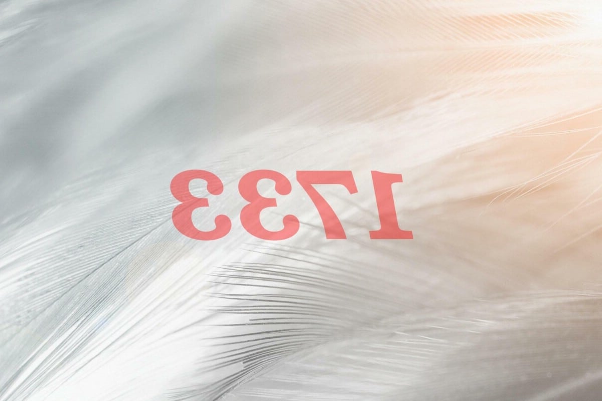 Descifra el SIGNIFICADO del número de ángel 1733