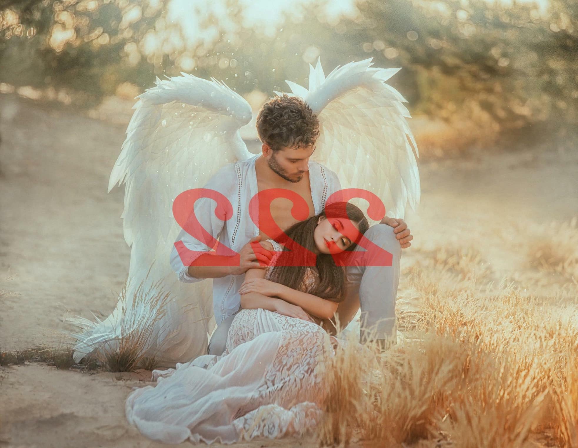 Descubre el SIGNIFICADO del número de ángel 222 - Revelación IMPACTANTE