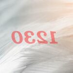 Descubre el SIGNIFICADO del número de ángel 1233 - ¡Revelación IMPERDIBLE!