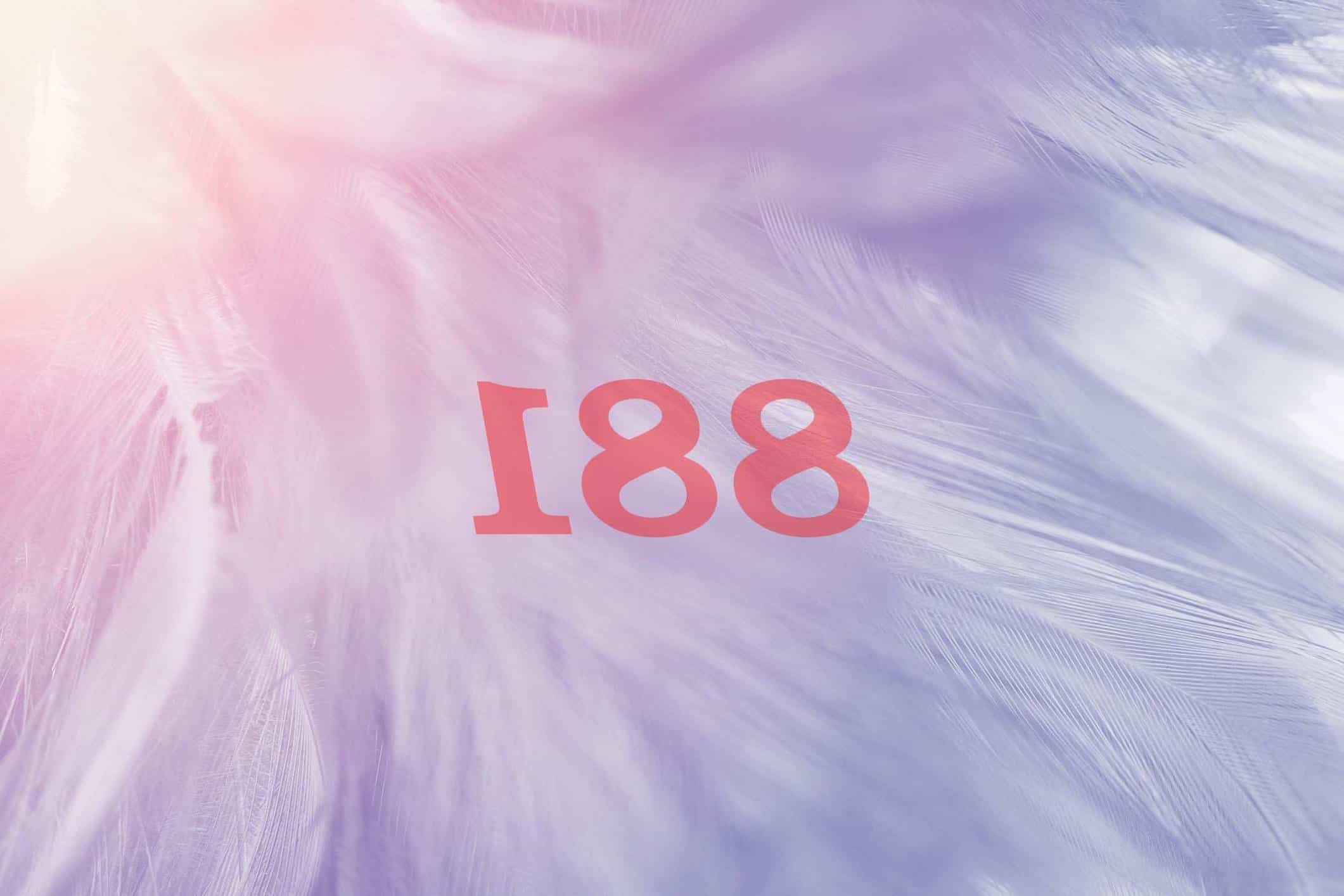 ️ ¿Qué significa el número de ángel 881? - Revisado y Actualizado en ...