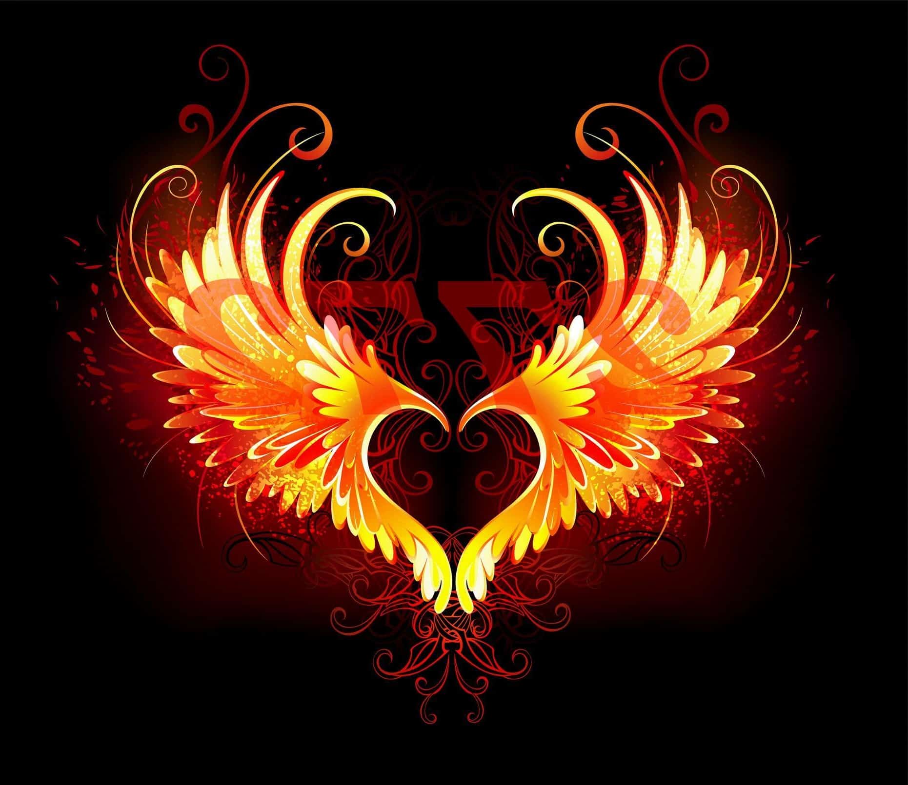 ¿Descubre qué hacer con el número de ángel 2772?