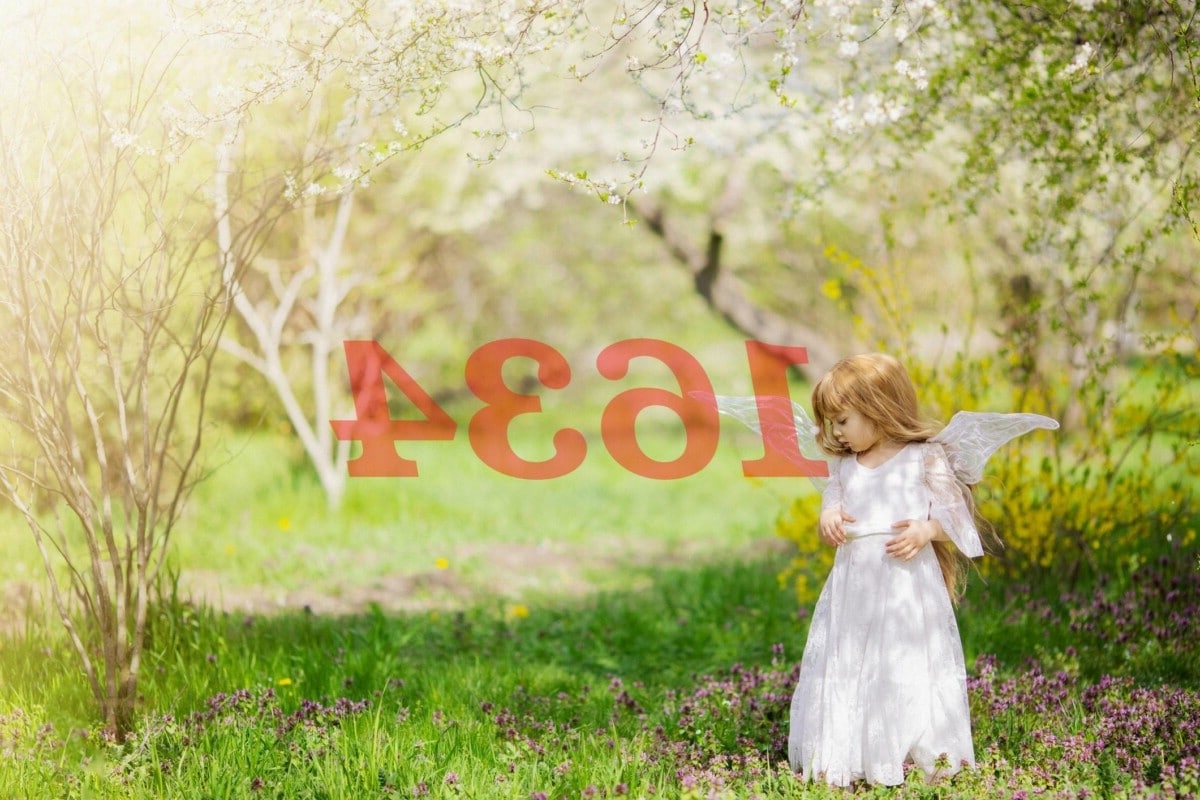 ¿Qué SIGNIFICA ver el NÚMERO de ÁNGEL 1634?