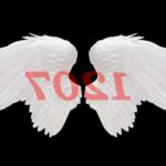 ¿Descubre el SIGNIFICADO del número de ángel 1206?