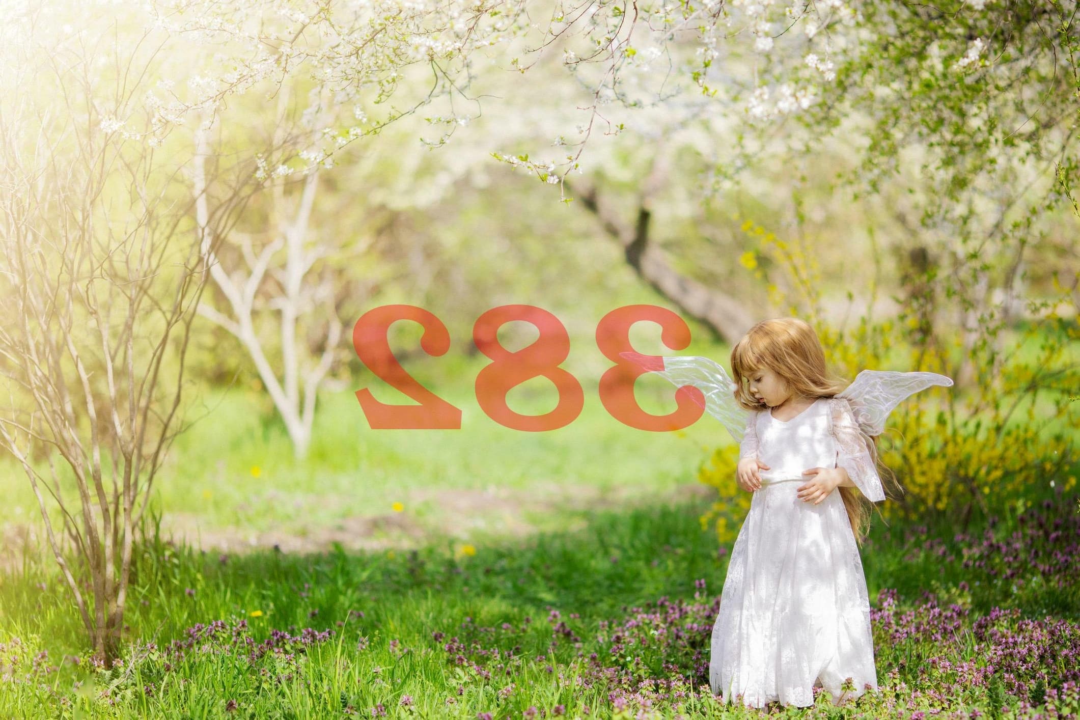 Descubre el SIGNIFICADO del número de ÁNGEL 3443