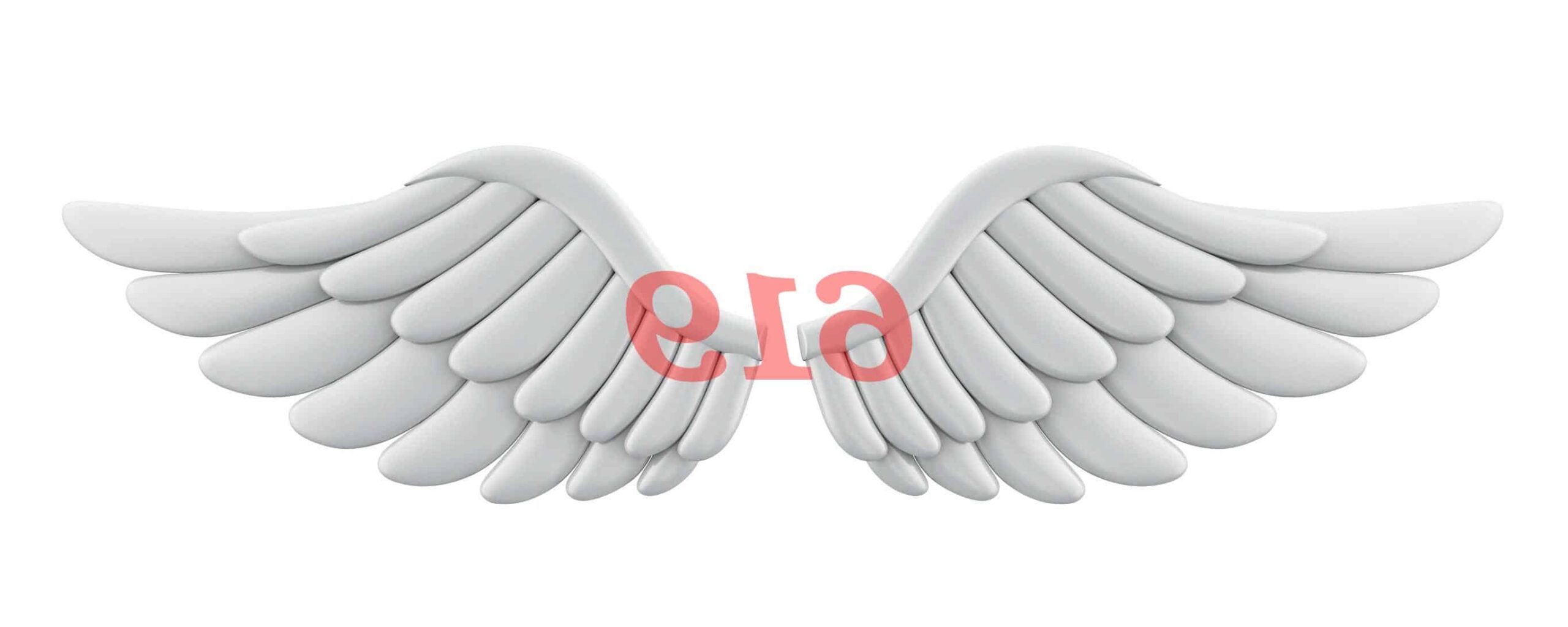 Descubre el MENSAJE del número de ángel 619 - Revelación IMPACTANTE