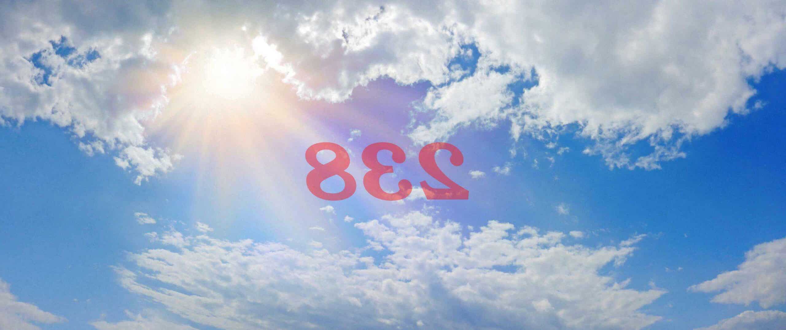 Descubre el SIGNIFICADO del número de ángel 238 - ¡Impactante Revelación!