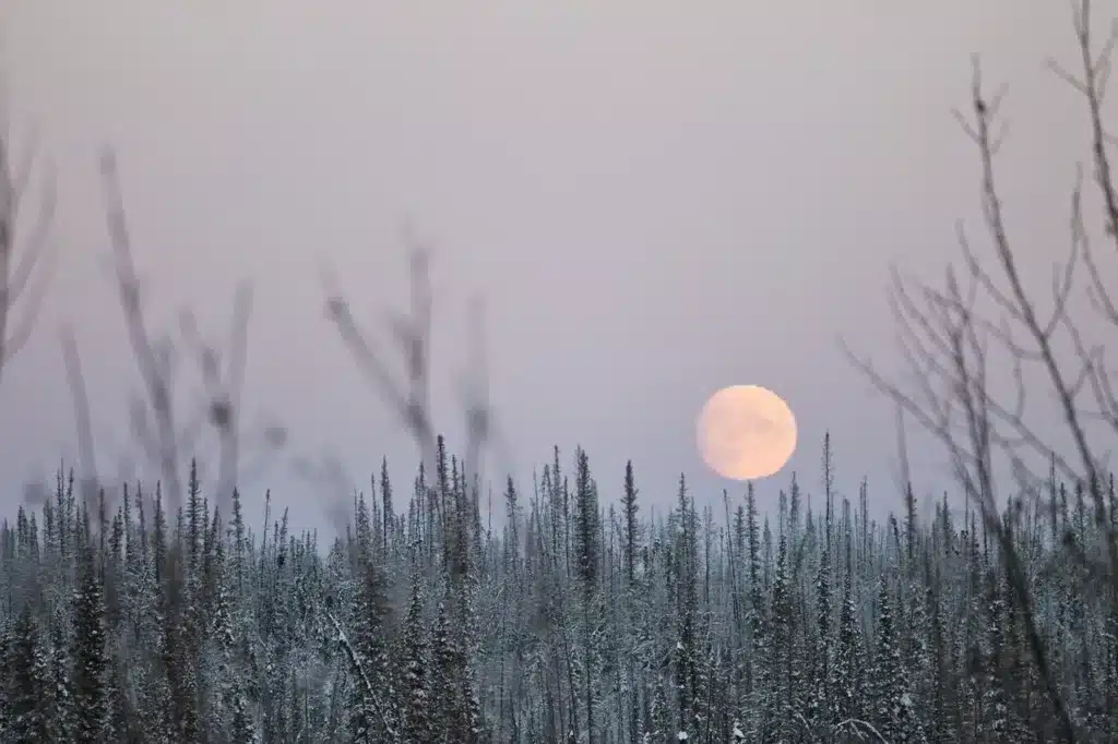 Discover the SPIRITUAL MEANING of the Cold Moon