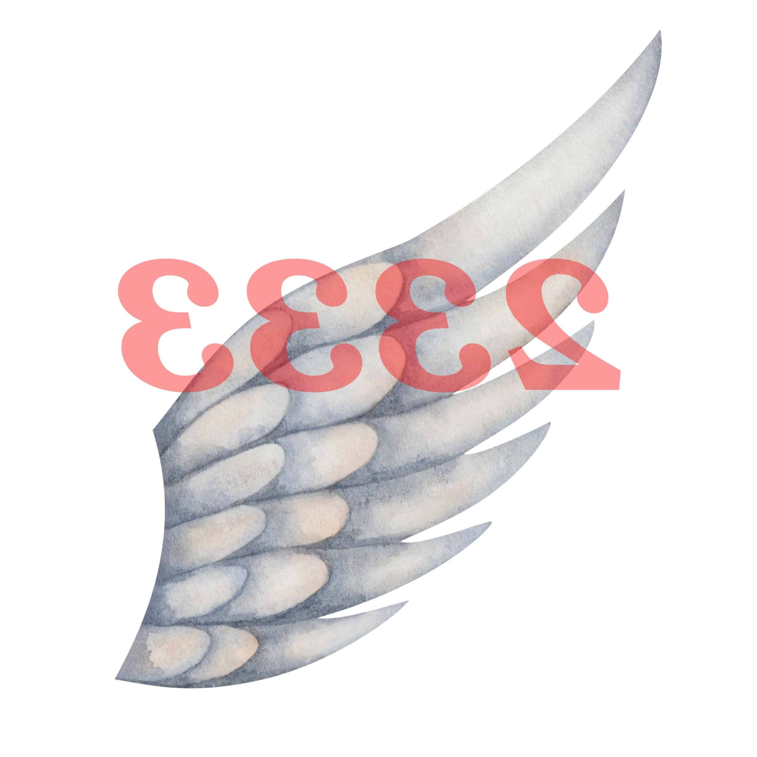 ¿QUÉ SIGNIFICA el NÚMERO de ÁNGEL 2333? DESCÚBRELO AHORA